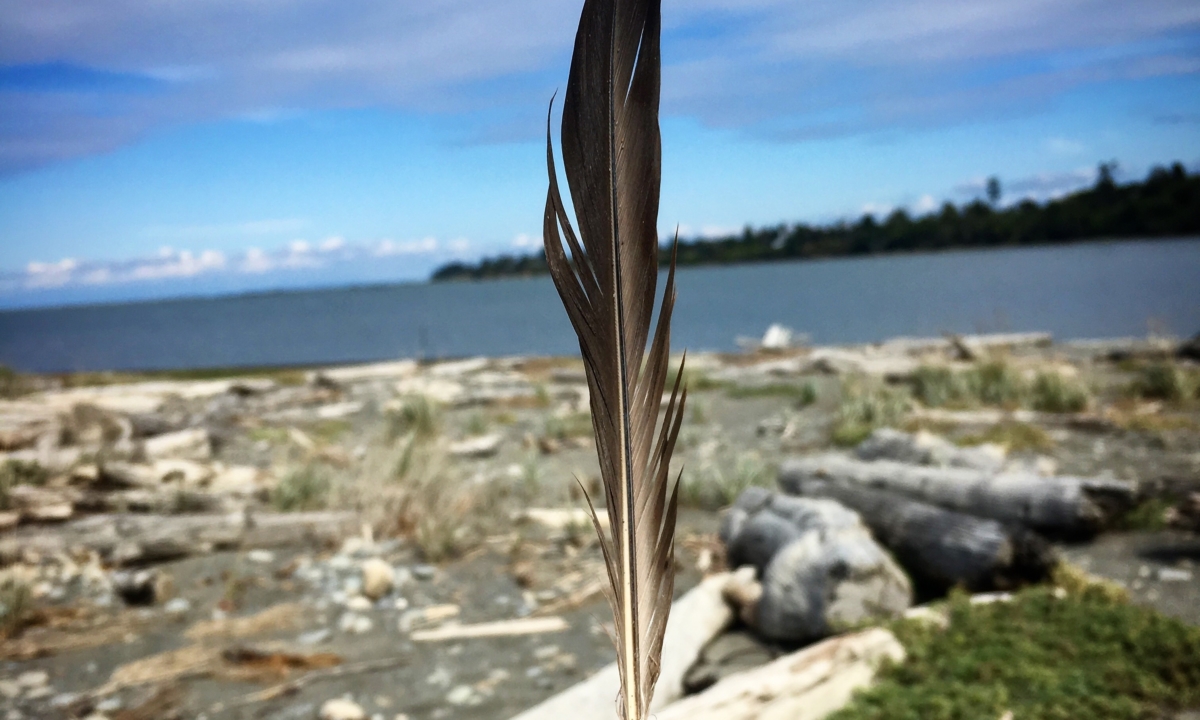 Feather Breathing Exercise - Seek Spark Shine - Reiki Santa Fe